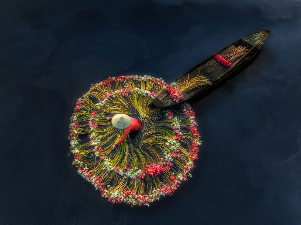 Focusing on quality: the key to FSSA Investment Managers’ approach in ...